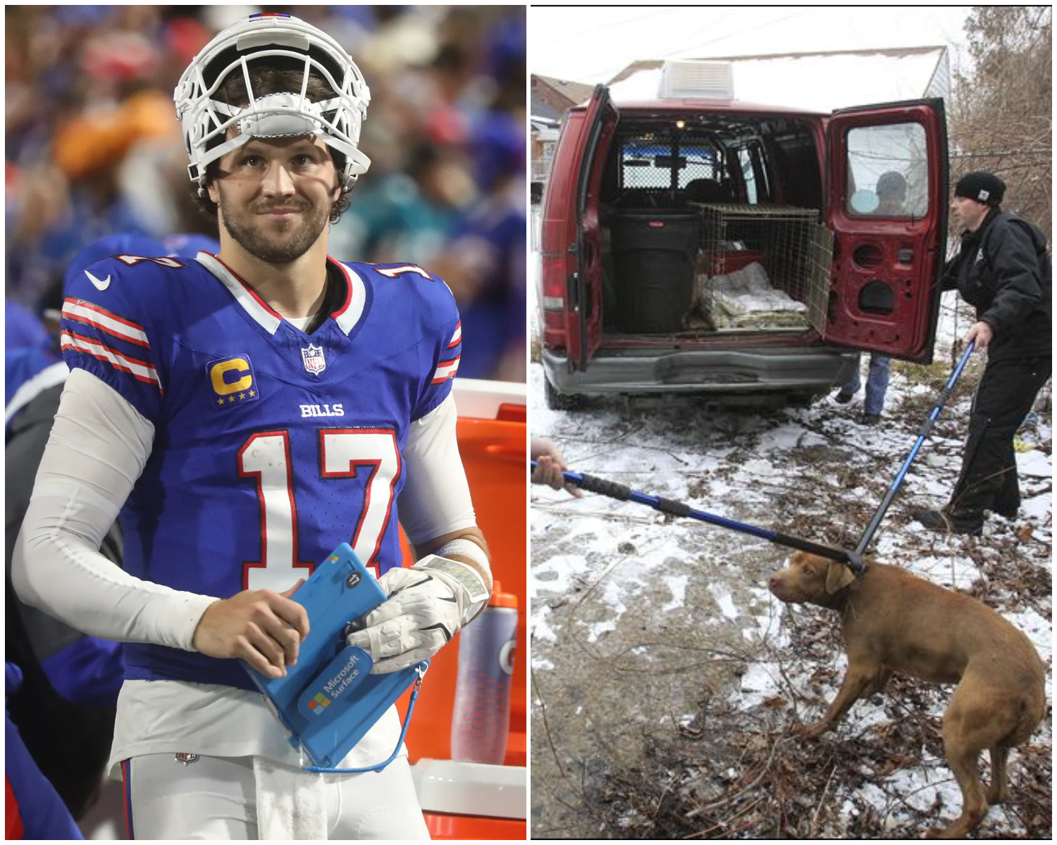 Josh Allen Spends $5 Million Building a 6-Acre 'Dogtopia' Near Bologna ...